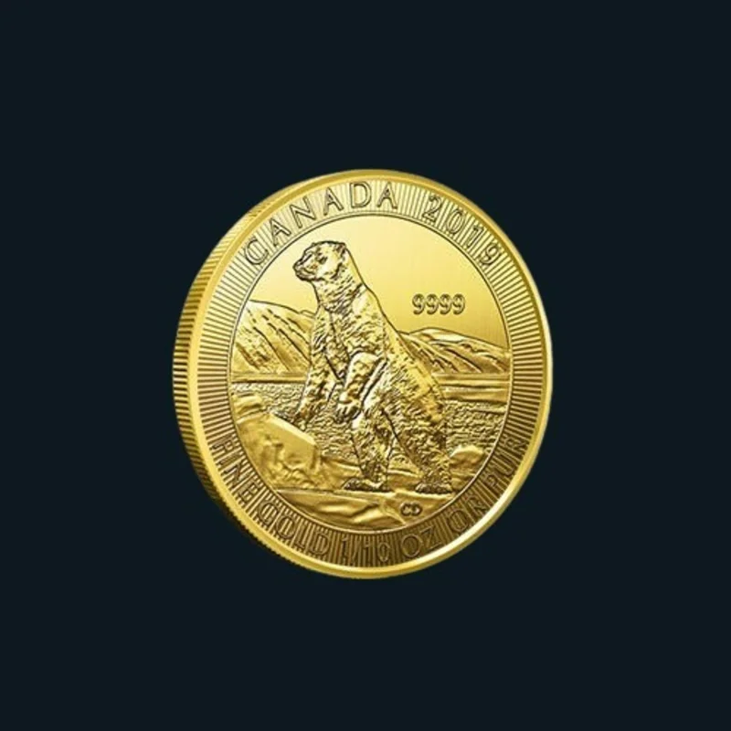 Tenth oz Canadian Polar Bear Gold Coin Random Year and Design – Atlas ...