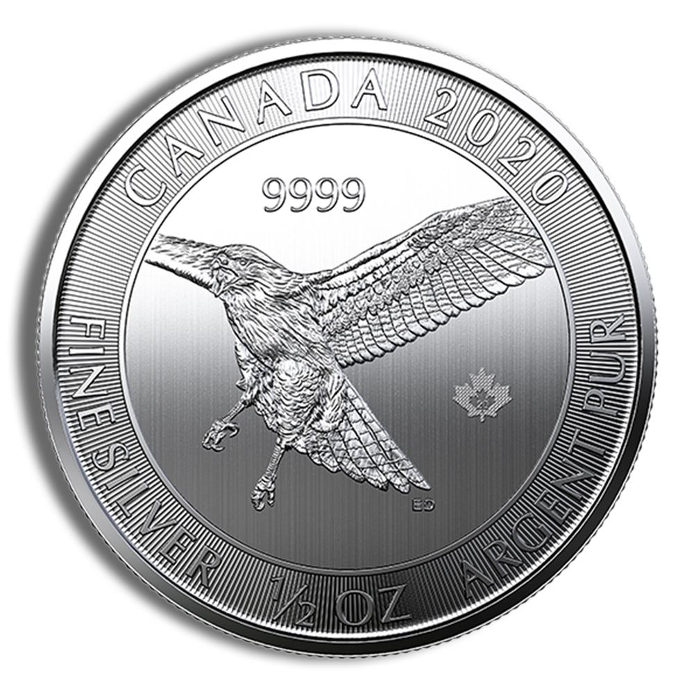 1/2 Oz Canadian Red Tail Hawk Silver Coin (Year Varies) | Atlas Bullion